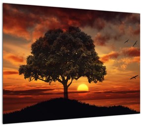 Skleněný obraz stromu se západem slunce (70x50 cm)
