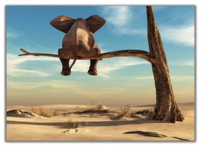 Malvis ® Zábavný slon Velikost (šířka x výška): obdélník - 120x80 cm