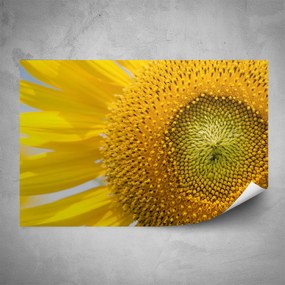 Plakát - Květina makro (60x40 cm) - PopyDesign