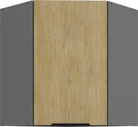 CREMONA ac | horní kuchyňská skříňka 60x60 GN-72 1F (45°) rohová s policemi | 60x60 cm | antracit/cremona