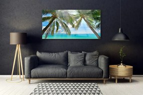 akrylový obraz Palma Strom Moře Krajina 120x60 cm