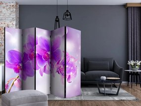 Paraván - Fialové orchideje II 225x172