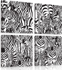 Obraz 50x50 Zebra pruhy černobílý kontrast vzor Afrika styl grafika