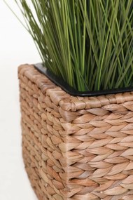Květináč ASIA, vodní hyacint, výška 30 cm, natur