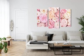 Vícedílný obraz Kvetoucí Květiny V Pastelových Barvách Nedostatek Nedostatek Přírodní plátno 150x100