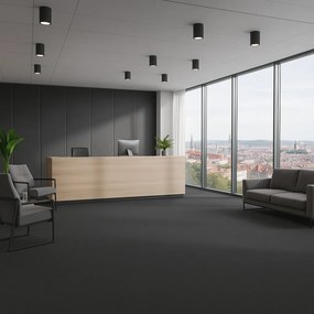 Lentex, PVC podlaha - lino Flexar PUR 603-04 černá, na míru, šíře 2m,4m, černá, bez podkladu, kancelář