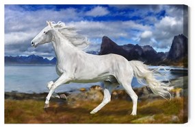 Obraz Kůň Ve Cvalu Nedostatek Nedostatek Přírodní plátno 70x50