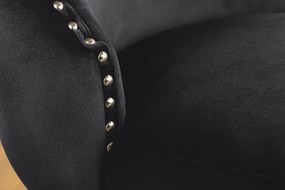 Designová židle Queen Lví hlava černý samet