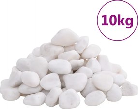 vidaXL Leštěné oblázky 10 kg 2–5 cm [155329] Barva: Bílá