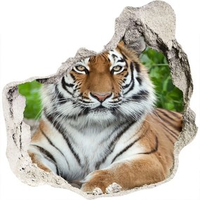 Wallmuralia Díra 3D fototapeta nálepka Sibiřský tygr 75x75 cm