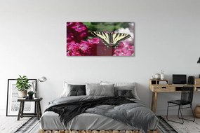 akrylový obraz květiny motýl 125x50 cm