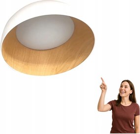 stropní svítidlo Led 18W Trento 13-24169 Candellux