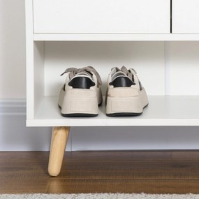 HOMCOM Moderní botník se 2 dveřmi a 4 policemi pro 12 párů bot, ideální do předsíně, obývacího pokoje, ložnice 60x30x92 cm Bílý