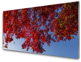 Obraz na skle Strom Listy Větve Příroda 120x60 cm