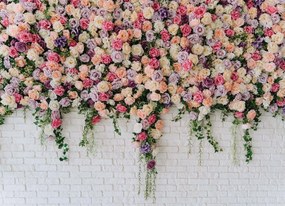 Malvis ® Tapeta růže na zdi Vel. (šířka x výška): 432 x 290 cm