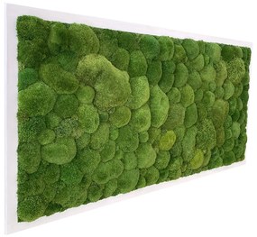 WOODILO Mechový obraz 210 | kopečkový mech | světle zelená Rozměr obrazu: 140x70 cm, Barva rámu: Bílá, Síla rámu (pohledová): 2,5 cm