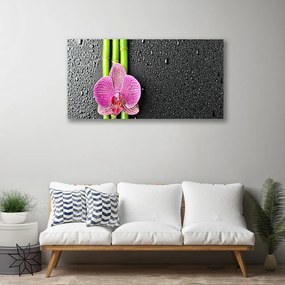Obraz na plátně Bambus Květ Rostlina Příroda 140x70 cm