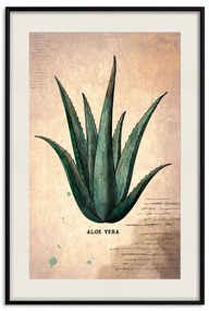 Plakát List z Herbáře - vintage kompozice s zelenou rostlinou na pozadí hnědé