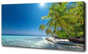 Wallmuralia Foto obraz canvas Maledivy pláž 100x50