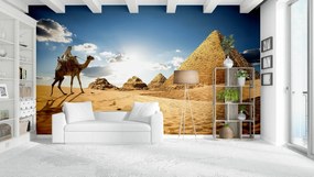 Malvis ® Tapeta Egypt pyramidy Vel. (šířka x výška): 288 x 200 cm