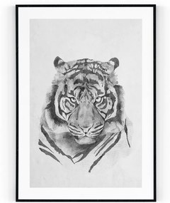 Plakát / Obraz Tygr Samolepící plátno A4 - 21 x 29,7 cm