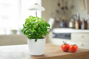 Přenosné LED růstové světlo na rostliny Garden Umberella USB