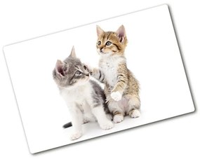 Wallmuralia Kuchyňská deska skleněná Dvě malé kočky 80x52 cm