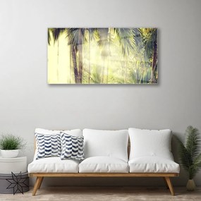 akrylový obraz Les Palmy Stromy Příroda 100x50 cm