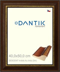 DANTIK rámeček 40x50 | DESCENT hnědá Au linka (Sklo Čiré)