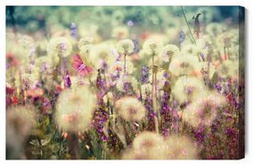 Obraz Květiny Na Louce Nedostatek Nedostatek Přírodní plátno 90x60