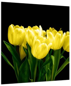 Obraz žlutých tulipánů (40x40 cm)