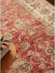 Červený koberec 160x220 cm Raja – Asiatic Carpets