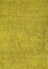 MonoCarpet Efor Shaggy 1903 120x170cm zelený