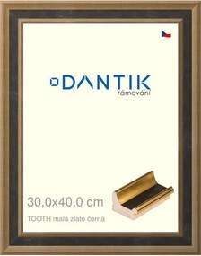 DANTIK rámeček 30x40 | TOOTH malá zlato černá (Plexi Čiré)
