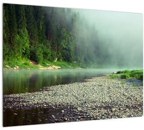 Obraz - Řeka u lesa (70x50 cm)