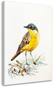 Gario Obraz na plátně Žlutý pták - Dorota Martyńska Rozměry: 40 x 60 cm