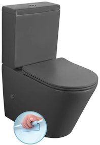 Sapho Sapho, DARIO RIMLESS WC kombi mísa s nádržkou, spodní/zadní odpad, bílá, PC1012WRGR