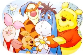 Dětské prostírání Disney mix 45 x 30 cm / Prostírání / Plast / Omyvate