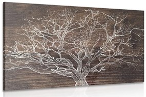 Obraz koruna stromu na dřevěném podkladu - 120x80