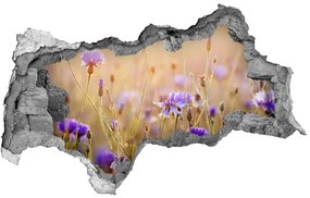 Wallmuralia Samolepící díra nálepka Polní květiny 95x73 cm