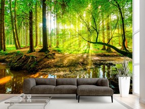 Lesní říčka (150x105 cm) - Murando DeLuxe