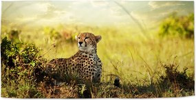 Sablio Ručník Gepard - 70x140 cm