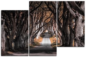Obraz na plátně - Tmavé ploty v  Irsku 1134FD (105x70 cm)
