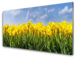 Plexisklo-obraz Tulipány Květiny Rostlina 120x60 cm