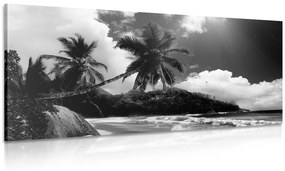 Obraz nádherná pláž na ostrově Seychely v černobílém provedení Varianta: 120x60