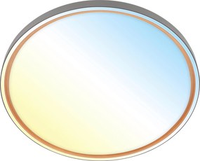 XXXLutz STROPNÍ LED SVÍTIDLO, 49.5/6,5 cm - Stropní svítidla - 004474017202