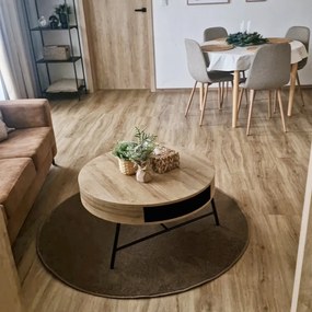 Hanse Home, Kusový koberec Fancy 103008 Braun - hnědý kruh, 200x200 (průměr) kruh, hnědá, ložnice