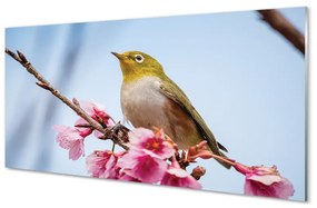 Obraz na skle Pták na větvi 100x50 cm