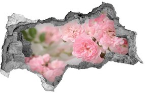 Wallmuralia Samolepící nálepka na zeď Divoké růže 95x73 cm