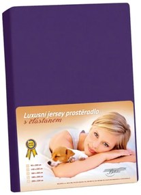 Bellatex prostěradlo jersey LUX Švestková rozměr 120x200 cm